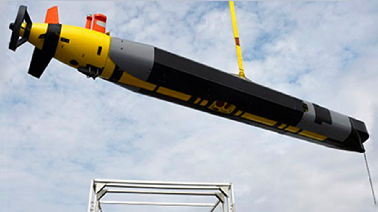 Software that autonomously adapts to changes in its environment